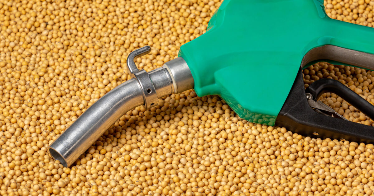 EU to phase out damaging soy biofuels | T&E