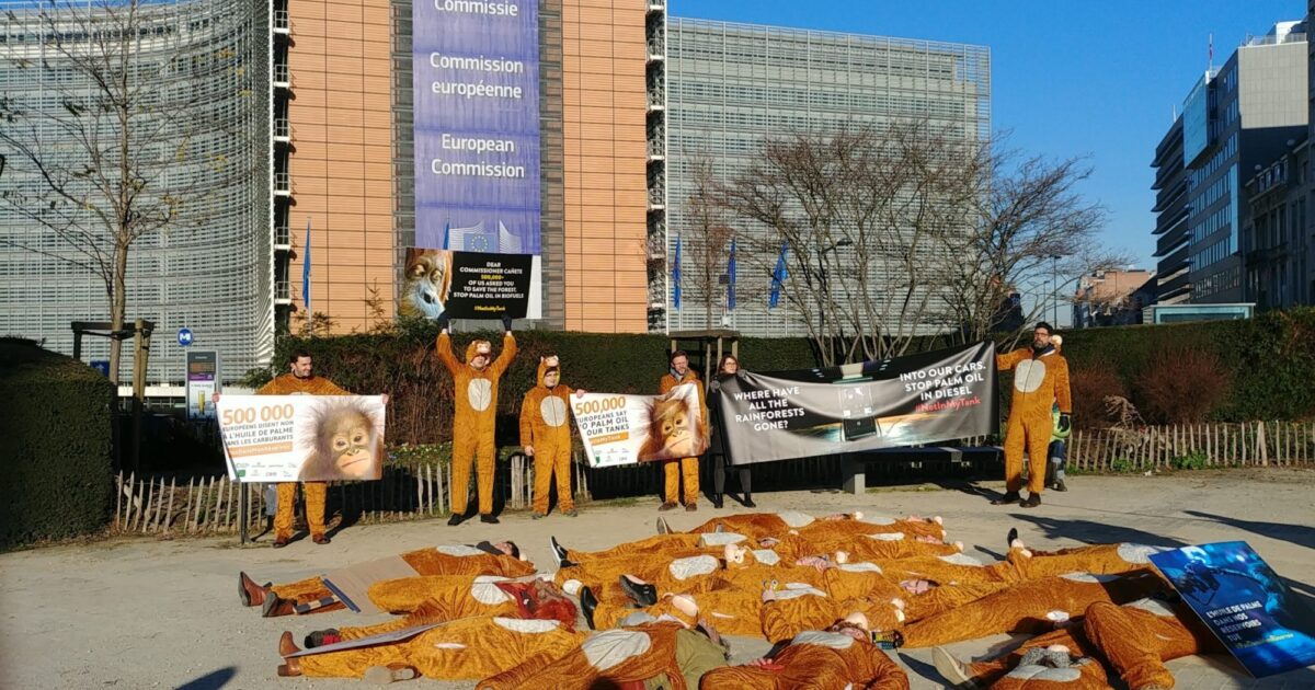 Apes invade EU embassies in European capitals and EU… | T&E Italia