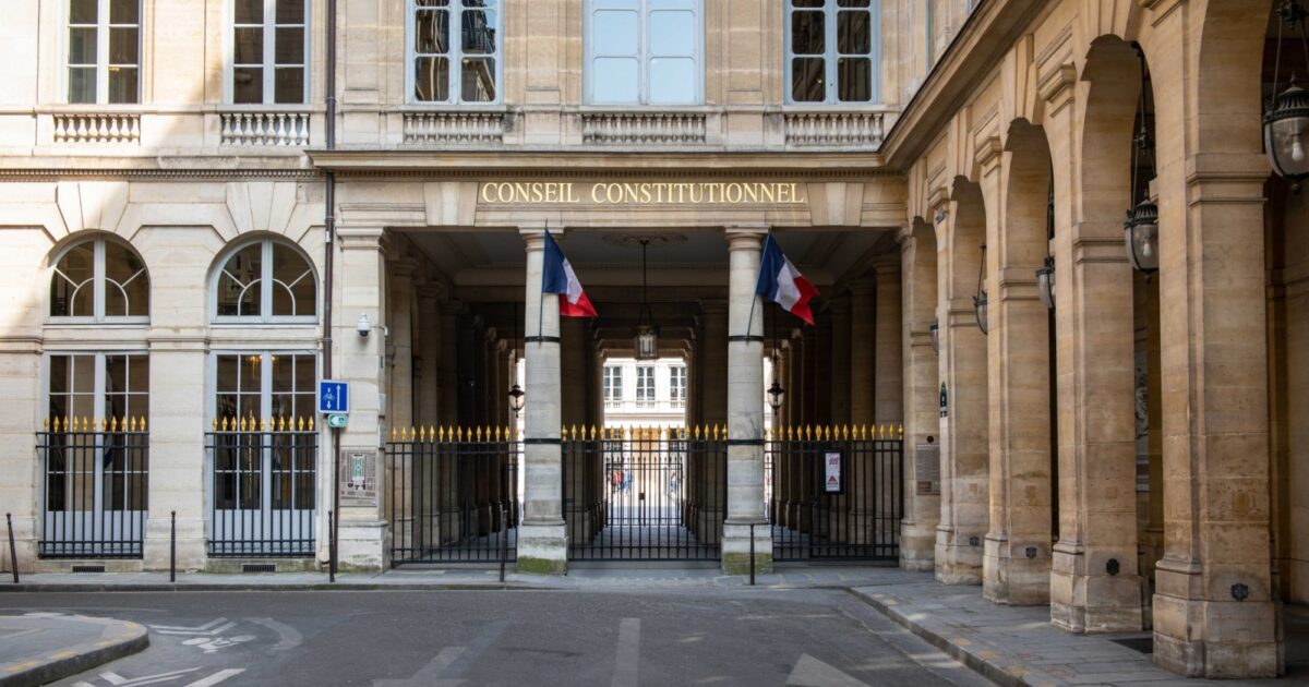 French court’s palm oil ruling a victory against ‘fake green… | T&E