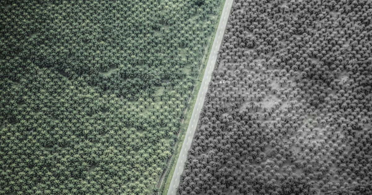 Biofuels in Europe: An analysis of the new EU targets and… | T&E