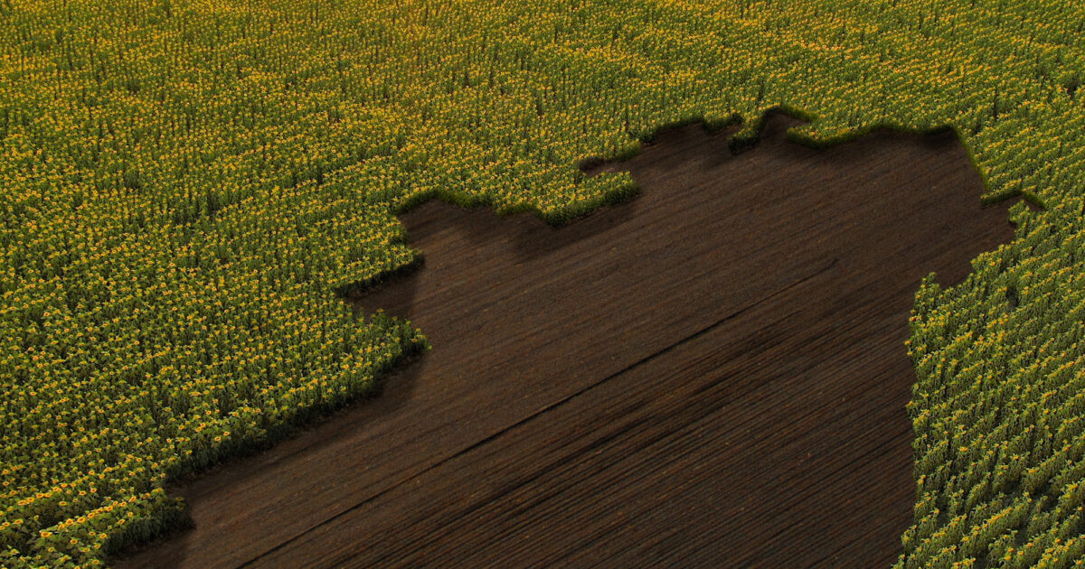 Land used for European biofuels could feed 120 million people… | T&E